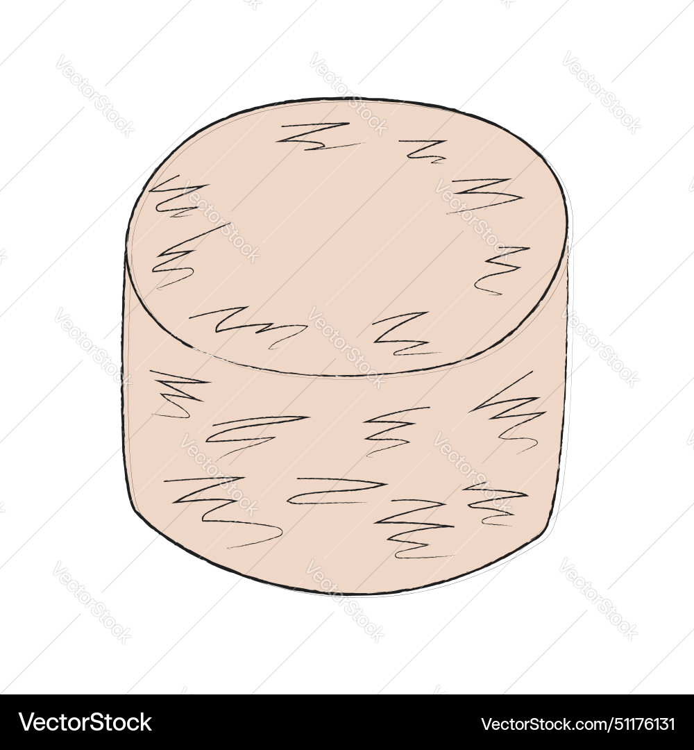 Round whole delicious cheese light milky hue Vector Image
