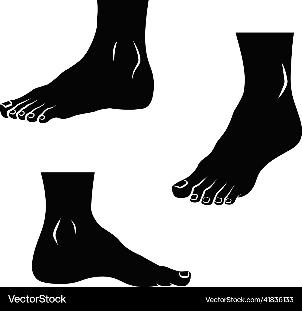 Feet Royalty Free Vector Image - VectorStock