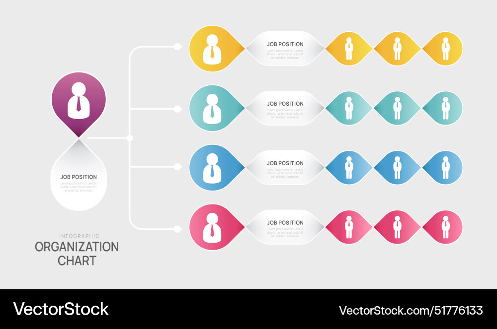 Infographic template for organization chart Vector Image