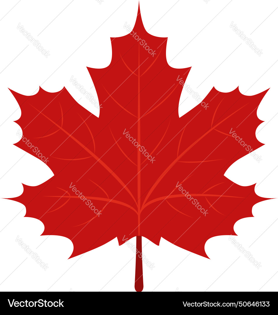 Maple leaf stack icon cartoon drop product Vector Image