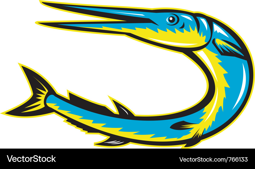 Needle fish jumping Royalty Free Vector Image - VectorStock