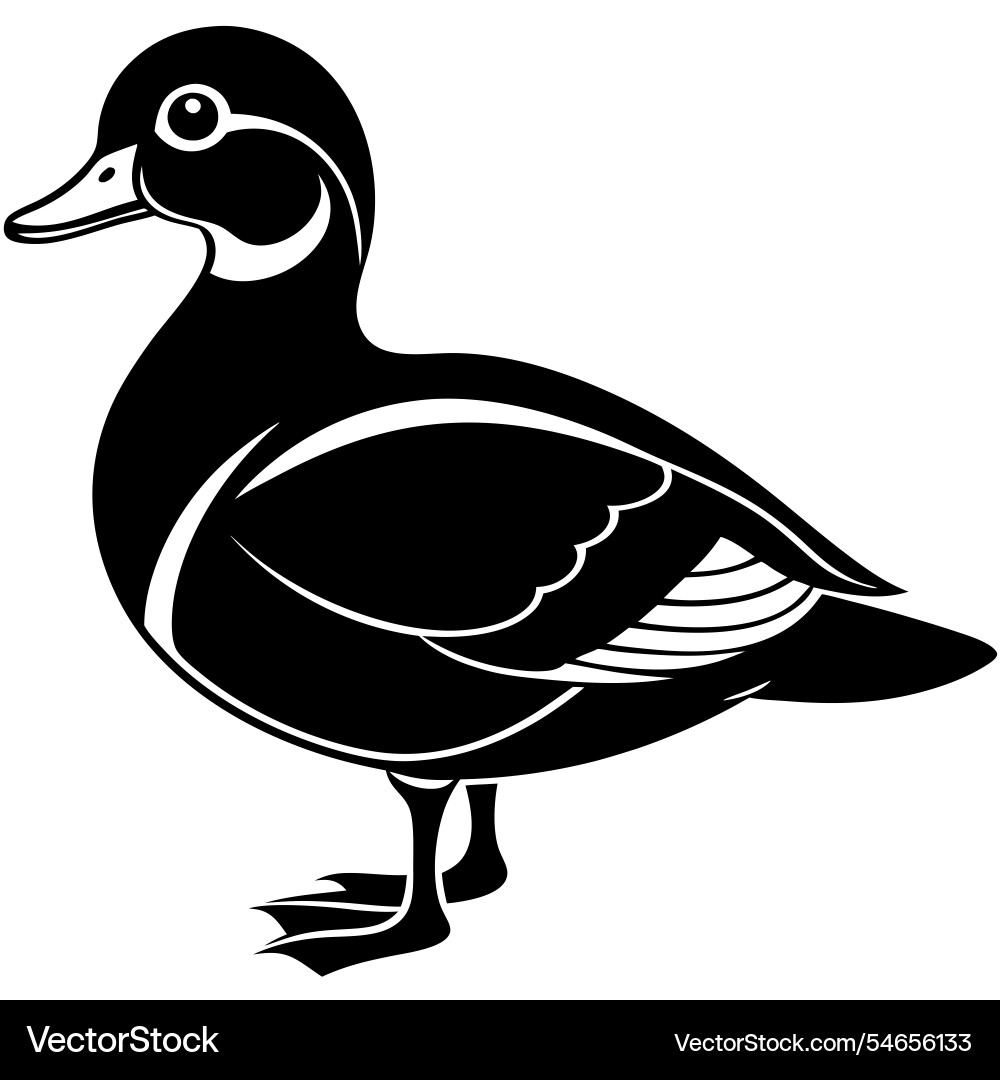 Stylish canada goose art Royalty Free Vector Image