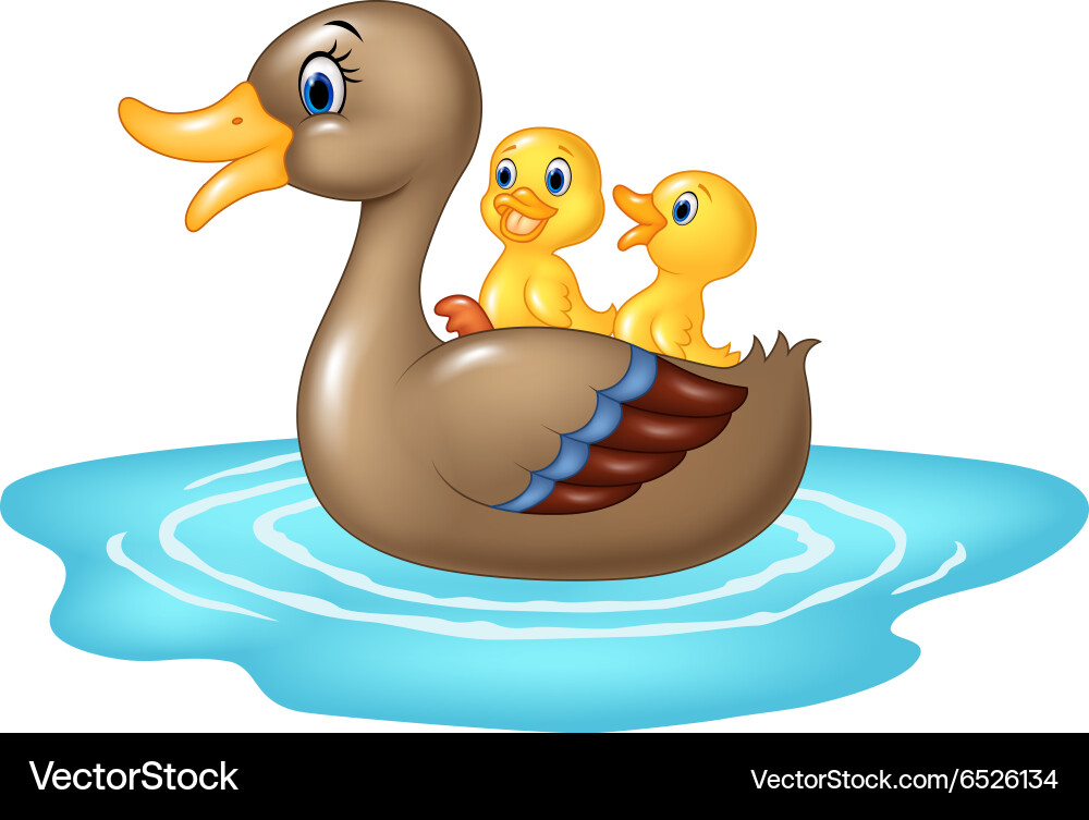 Cartoon ducks on the pond isolated Royalty Free Vector Image