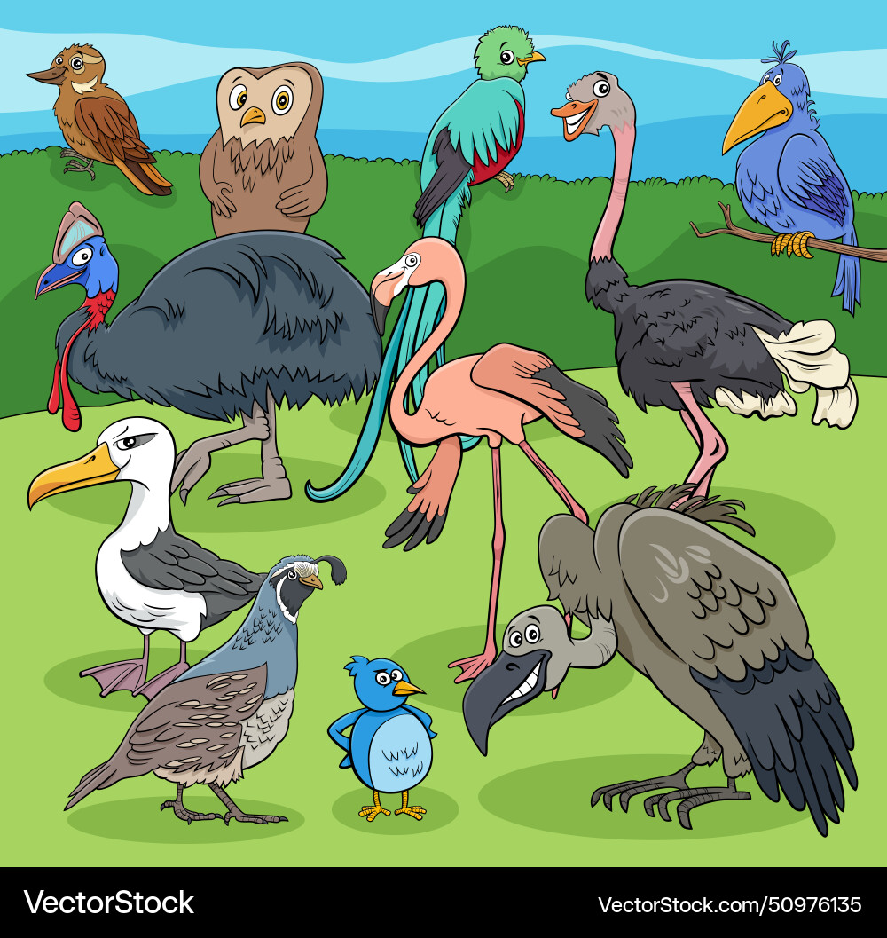 Birds animal characters group cartoon Royalty Free Vector