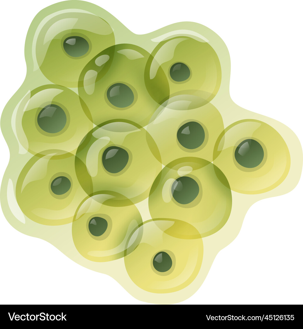 Frog Eggs Drawing Life Cycle Of A Frog – Easy Peasy All In One