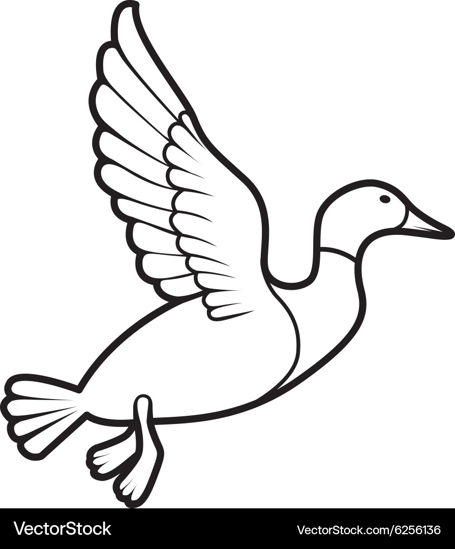 Duck Flying Vector