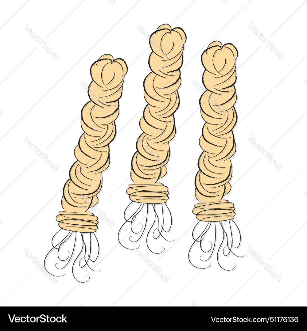 Traditional georgian cheese delicacy appetizer Vector Image
