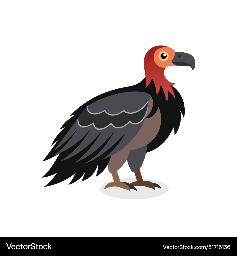 Vulture animal isolated flat on white background Vector Image