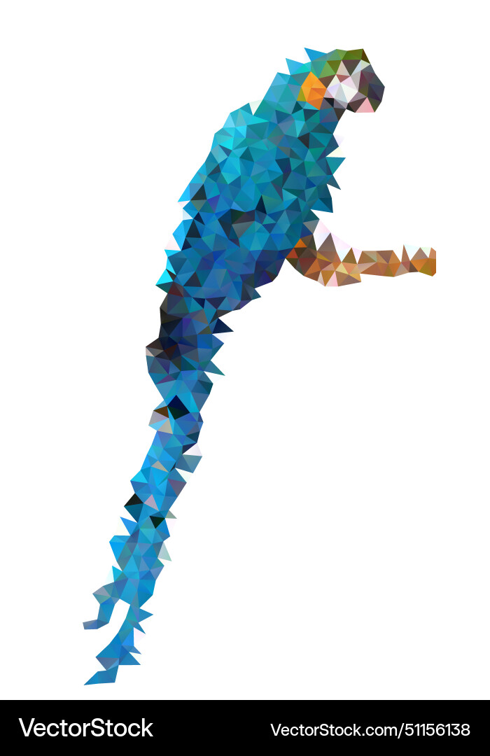 Colorful parrot polygon Royalty Free Vector Image