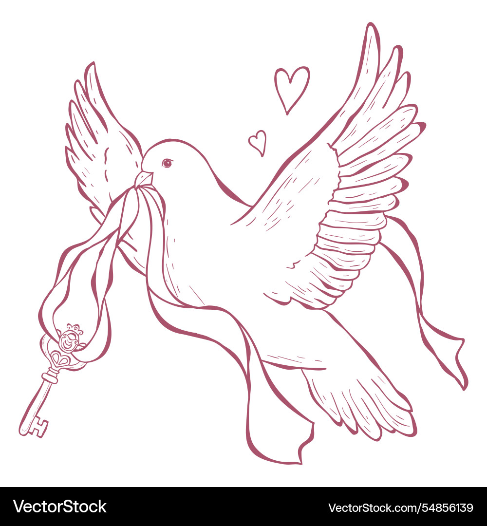 Dove with key and ribbon Royalty Free Vector Image