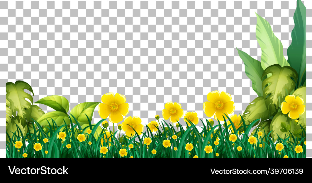 Nature plants frame transparent background Vector Image