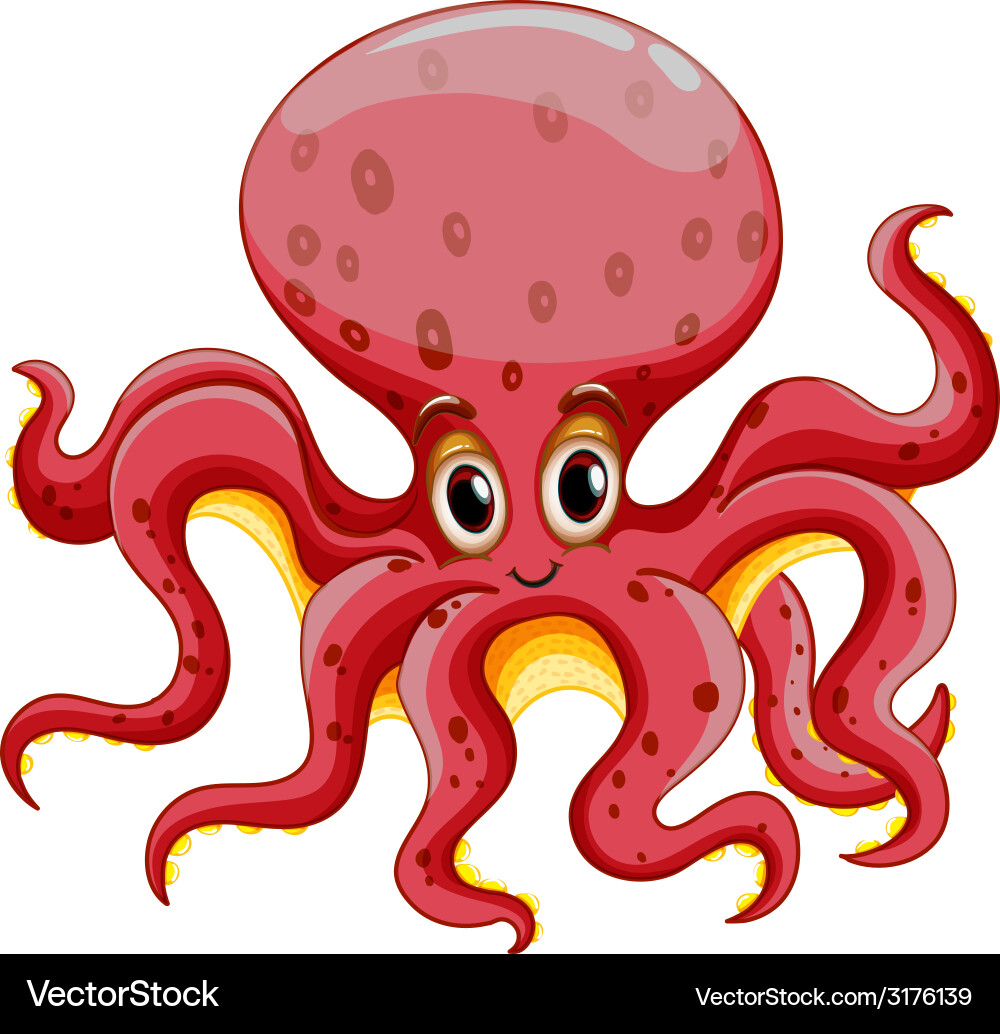 Octopus Royalty Free Vector Image - VectorStock