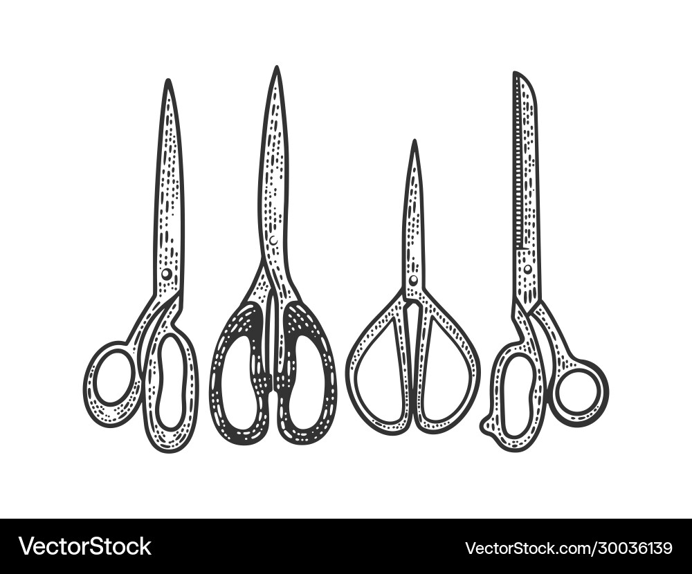 Scissors set sketch Royalty Free Vector Image - VectorStock