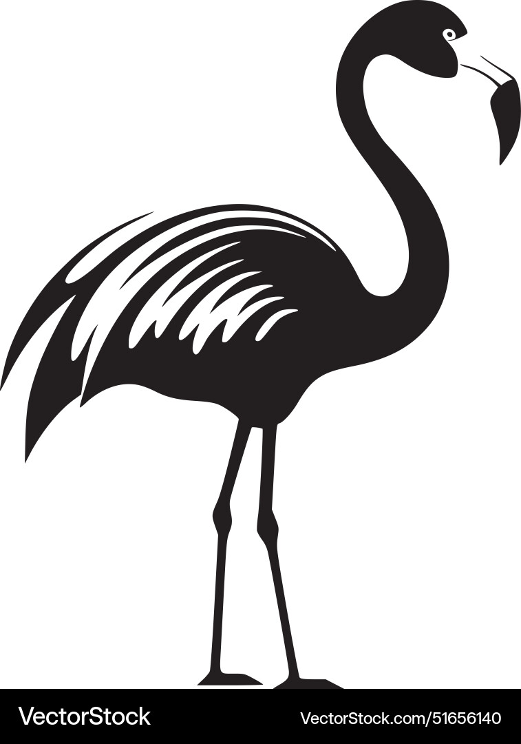 Flamingo - black and white Royalty Free Vector Image