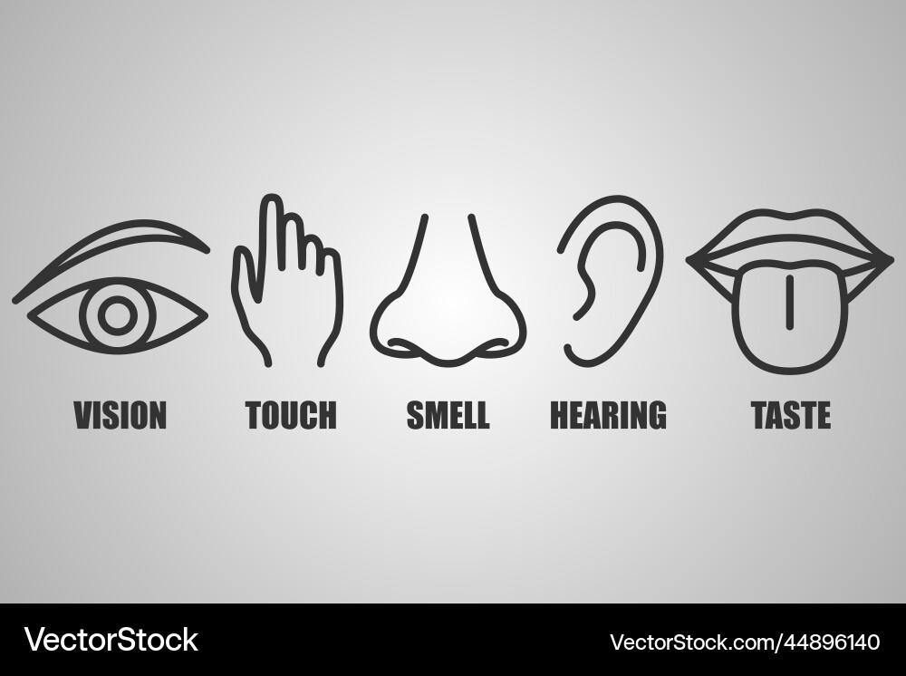 Human senses icons Royalty Free Vector Image - VectorStock
