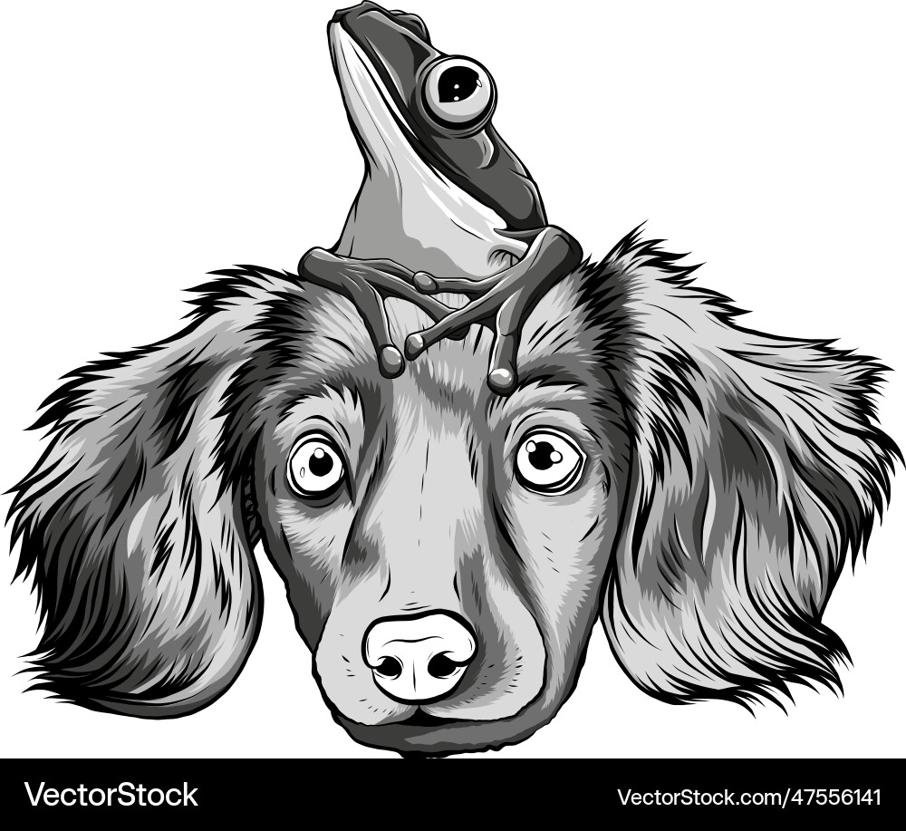 Monochrome dog and frog Royalty Free Vector Image