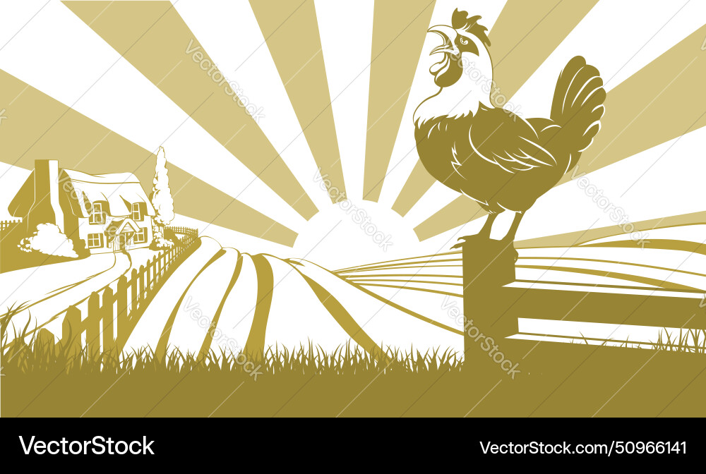 Rooster farm field concept Royalty Free Vector Image