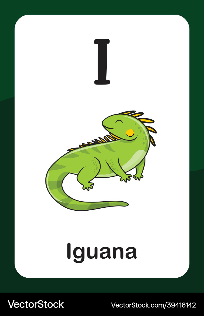 Animal alphabet flash card - i for iguana Vector Image