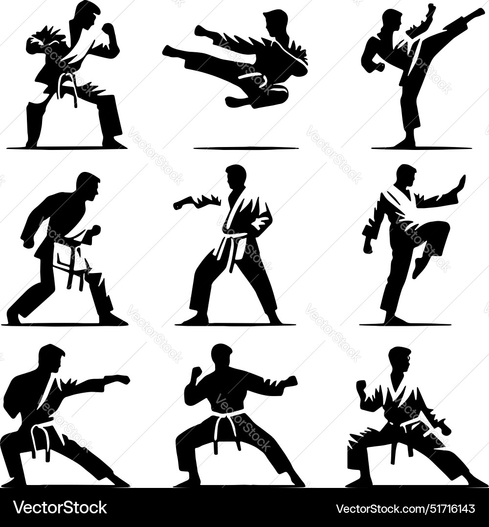 Karate silhouette set Royalty Free Vector Image