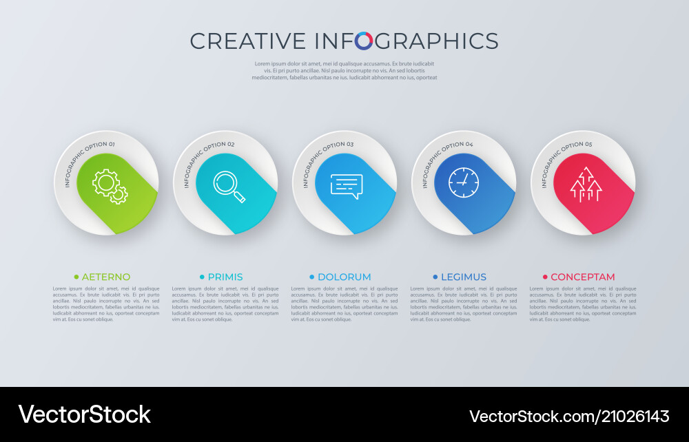 Minimalist Infographic Template Royalty Free Vector Image