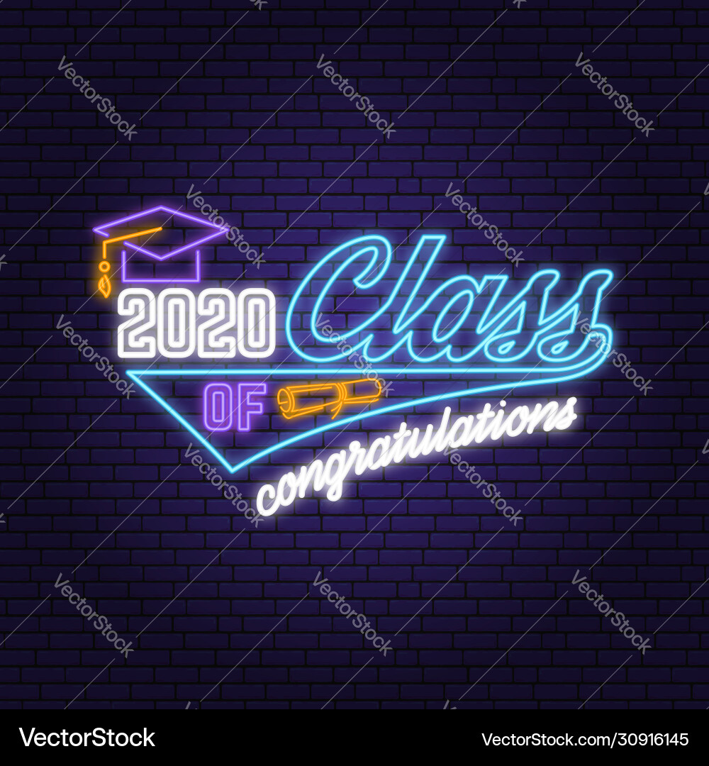 Class 202 neon bright signboard light banner Vector Image