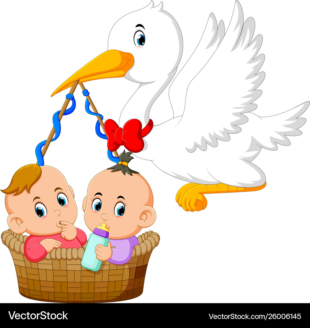 Stork Delivering Baby in Basket Royalty Free Vector Image