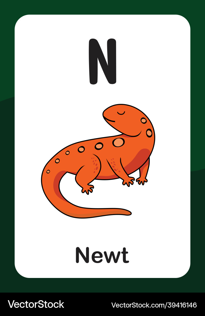 Animal alphabet flash card - n for newt Royalty Free Vector