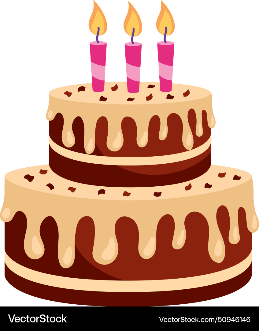 Birthday party cake Royalty Free Vector Image - VectorStock