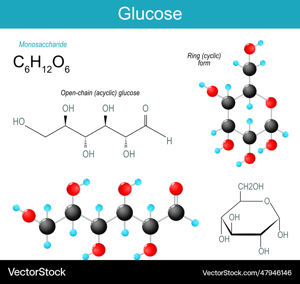 Glucose Molecule Model Glucose Isomer Molecular Models As Tools For
