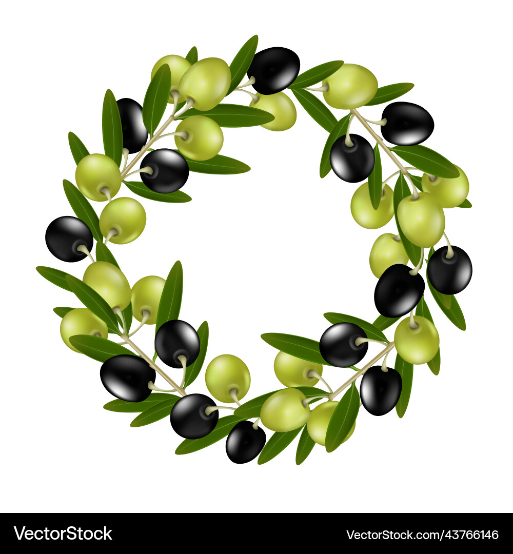 Realistic olives wreath Royalty Free Vector Image