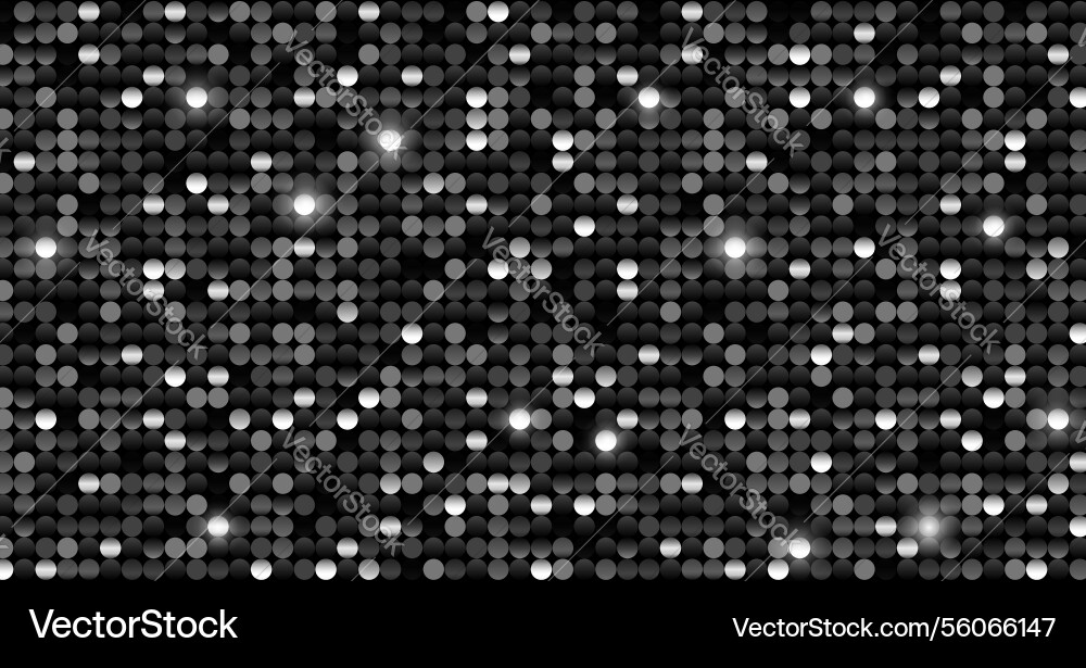 Black and white sequins glitter paillette Vector Image