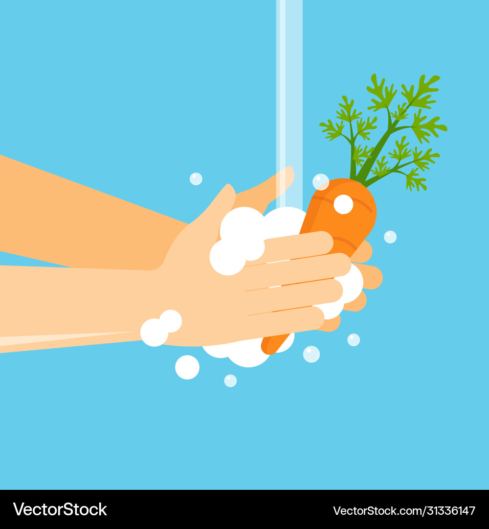 Washing fruits and vegetables Royalty Free Vector Image