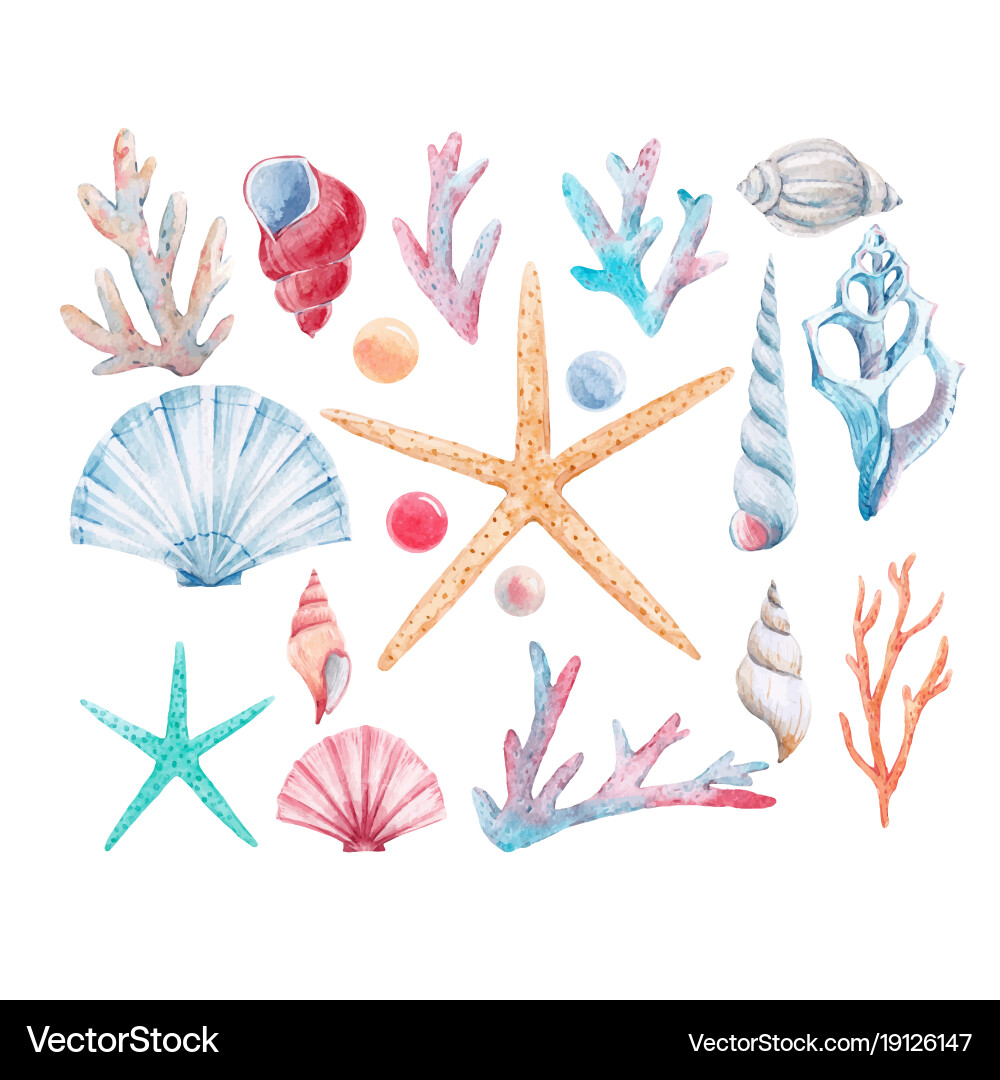 Watercolor Coral & Shell Set Royalty Free Vector Image