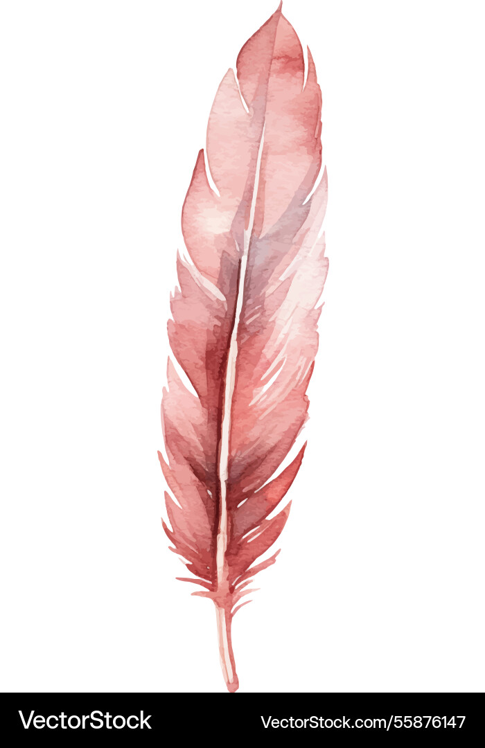 Watercolor painted bird feather hand drawn design Vector Image
