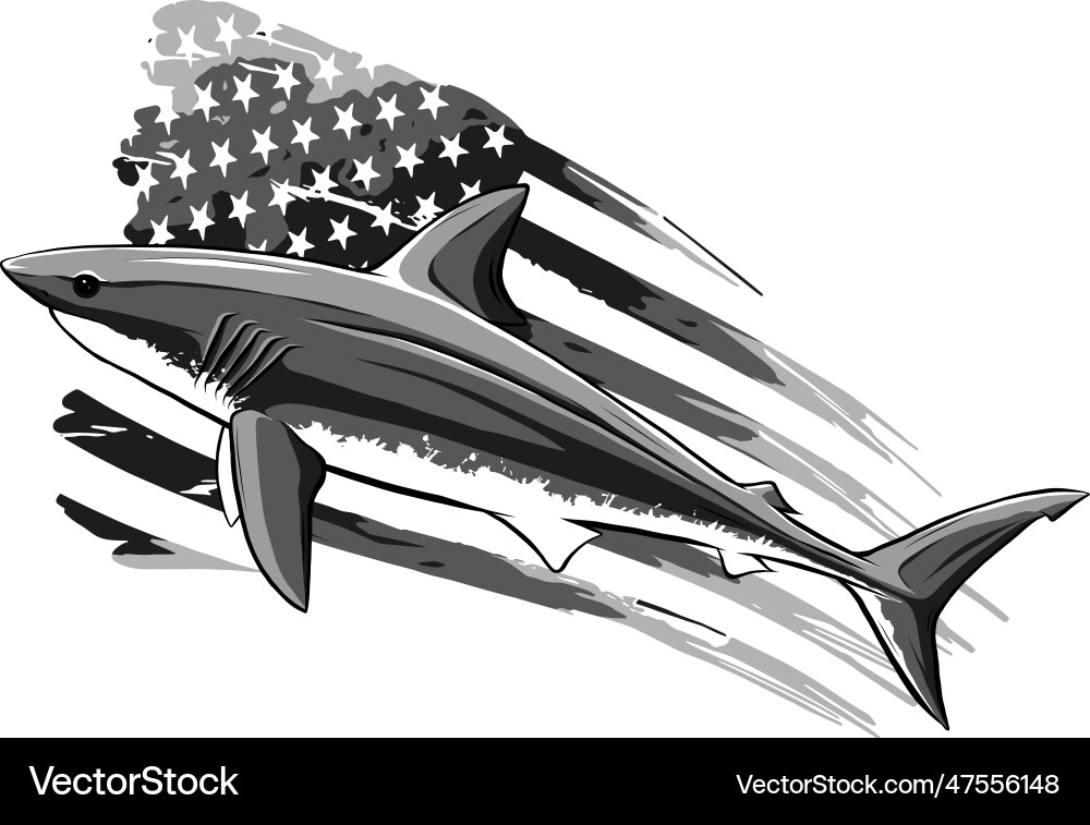 Monochrome shark Royalty Free Vector Image - VectorStock