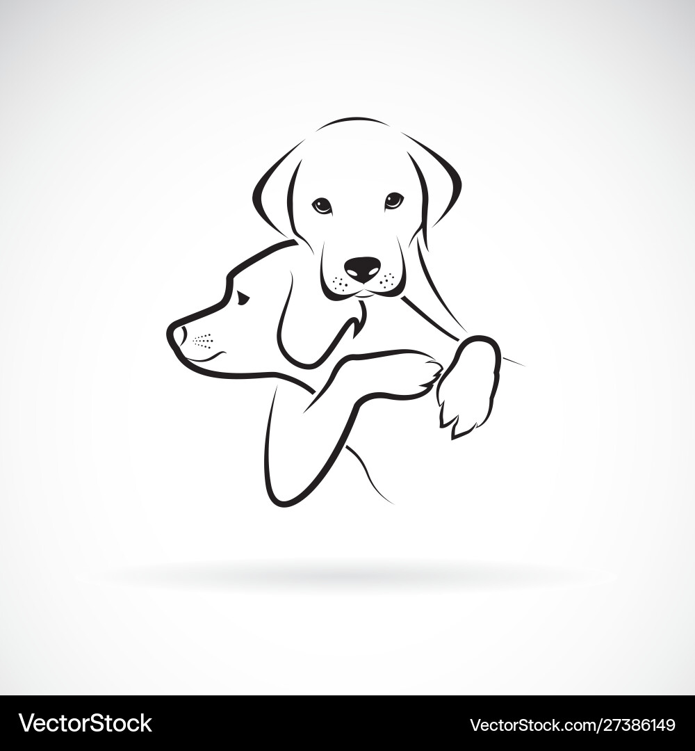 Dogs hug each other on white background pet Vector Image