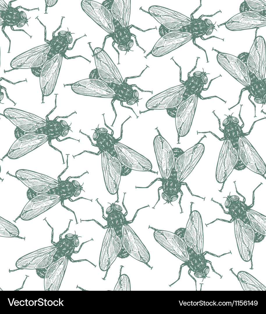 Seamless flies pattern in engraved style Vector Image