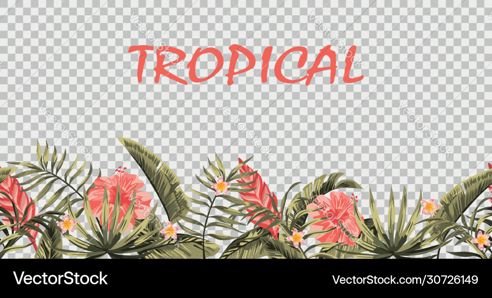 Seamless tropical border transparent background Vector Image