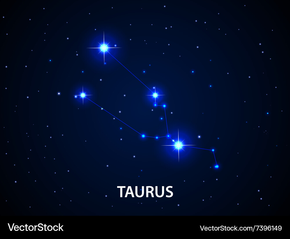 Set of symbol zodiac taurus Royalty Free Vector Image