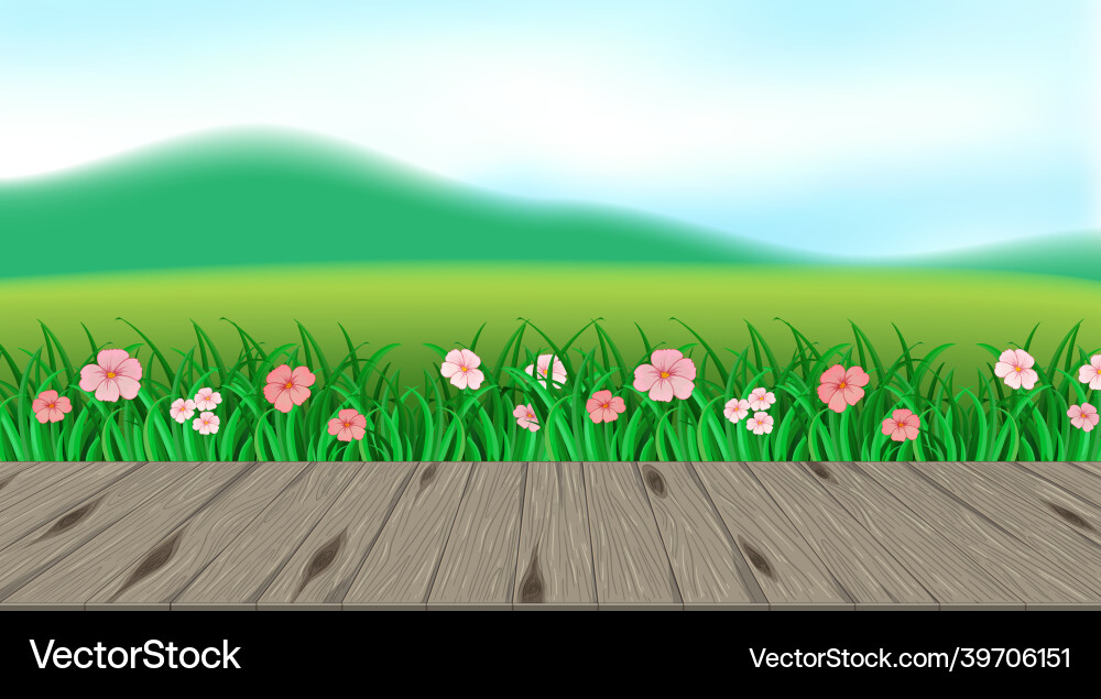 Beautiful outdoor nature scene background view Vector Image