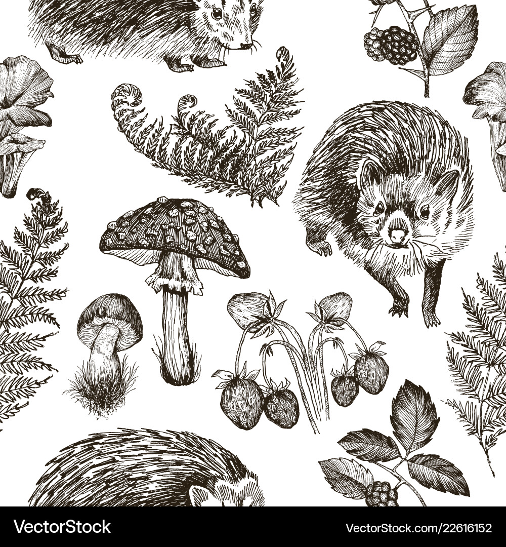 Seamless pattern of highly detailed hand drawn Vector Image