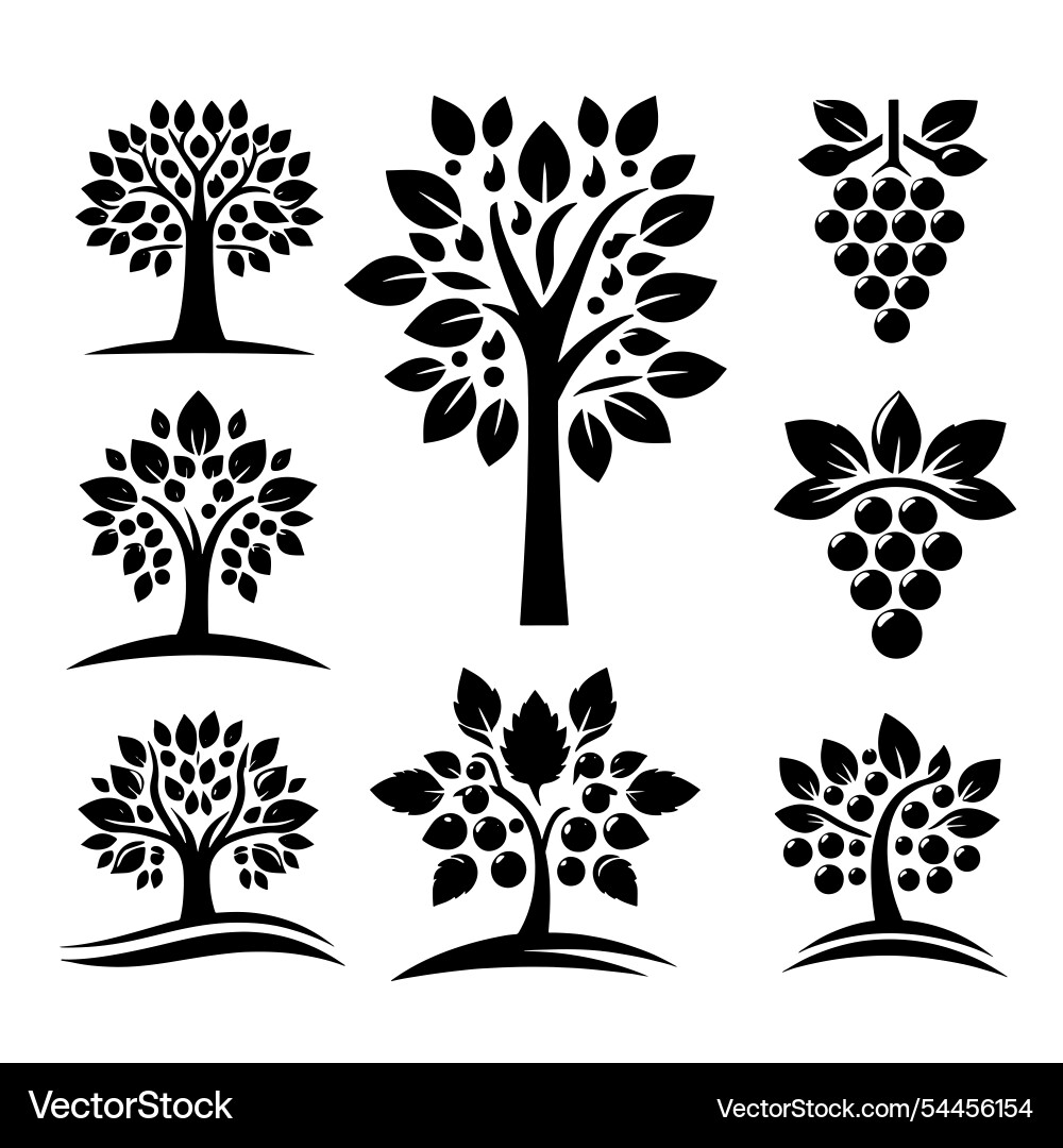 Fruit tree grape icons set Royalty Free Vector Image