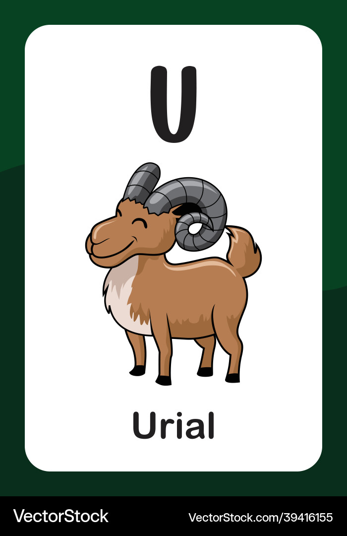 Animal alphabet flash card - u for urial Vector Image