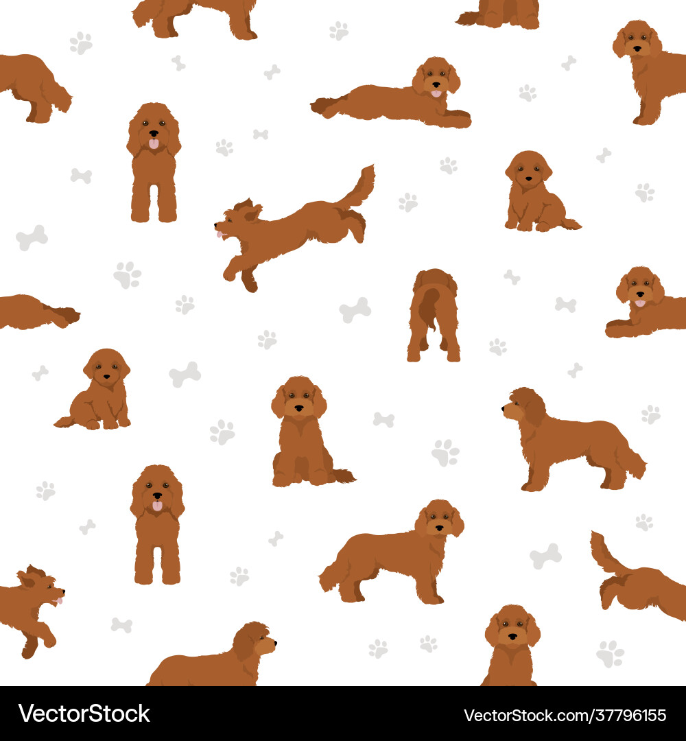 Cockapoo mix breed seamless pattern different Vector Image