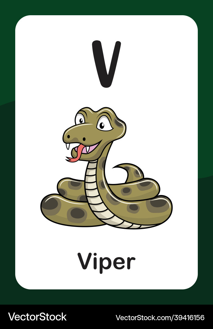 Animal alphabet flash card - v for viper Vector Image