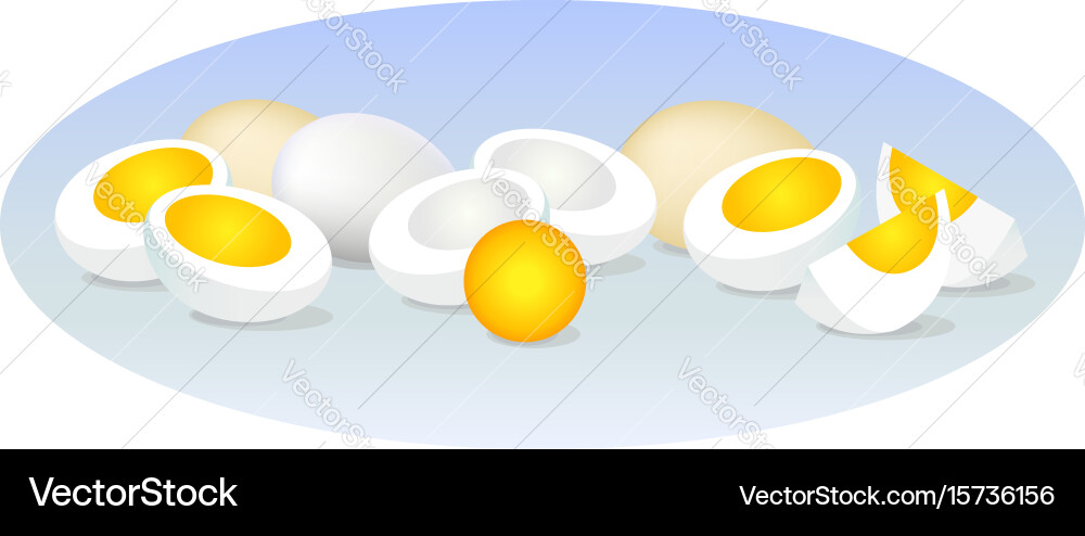 Eggs Royalty Free Vector Image - VectorStock