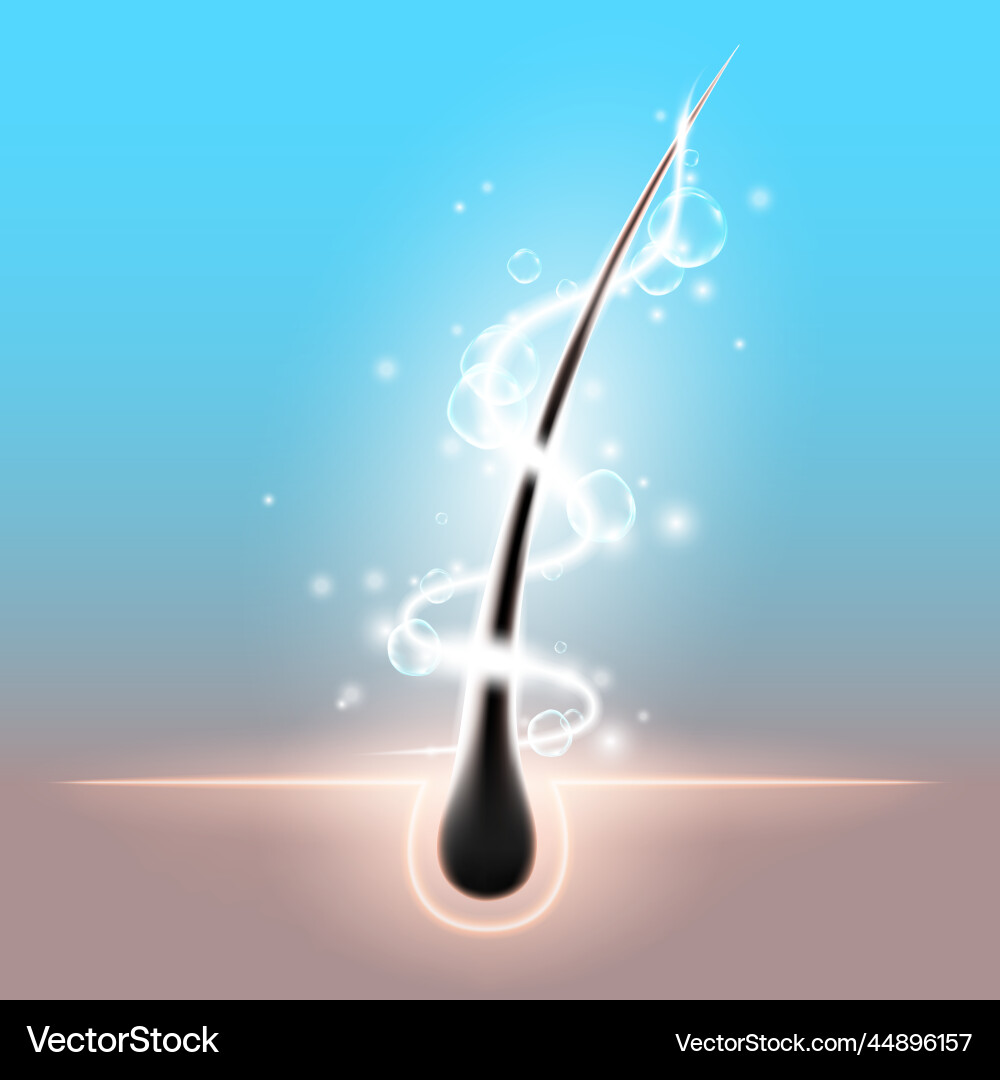 Hair care Royalty Free Vector Image - VectorStock