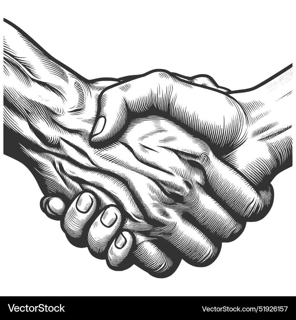 Handshake engraving sketch Royalty Free Vector Image