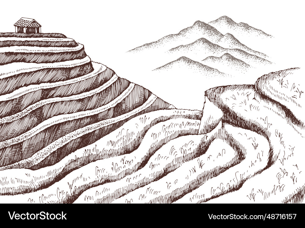Landscape of terraced rice fields Royalty Free Vector Image