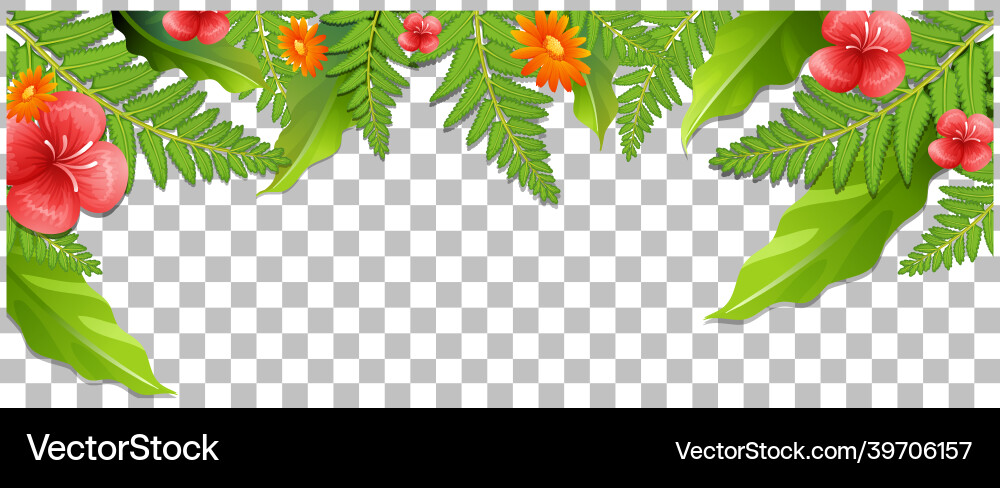 Nature plants frame transparent background Vector Image